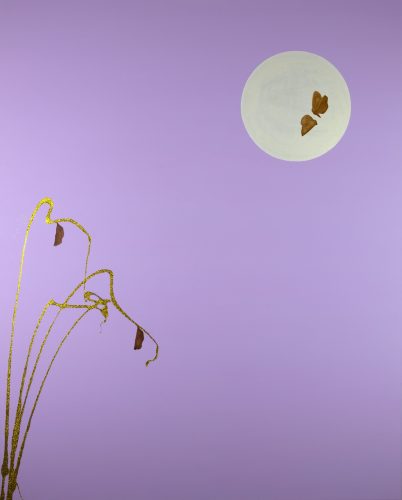 Selected Art Works: - Sara Aziz